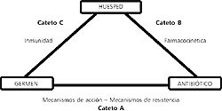 Antibióticos. Su uso racional