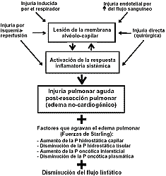 Injuria pulmonar aguda post-resección pulmonar