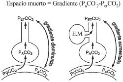 El dióxido de carbono durante la anestesia. Fisiopatología y monitoreo