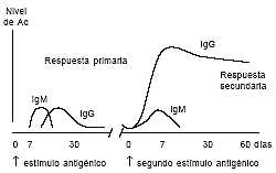 El sistema inmunitario. Nociones básicas de los mecanismos de defensa.