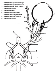 Las lecciones derivadas del Asa Closed Claims Project (ASACCP ...